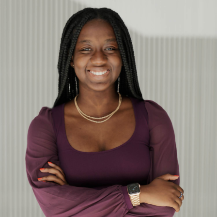 Data Provenance Initiative